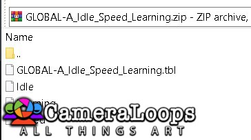 GLOBAL-A_Idle_Speed_Learning - Type4 DPS Files - www.CameraLoops.ru